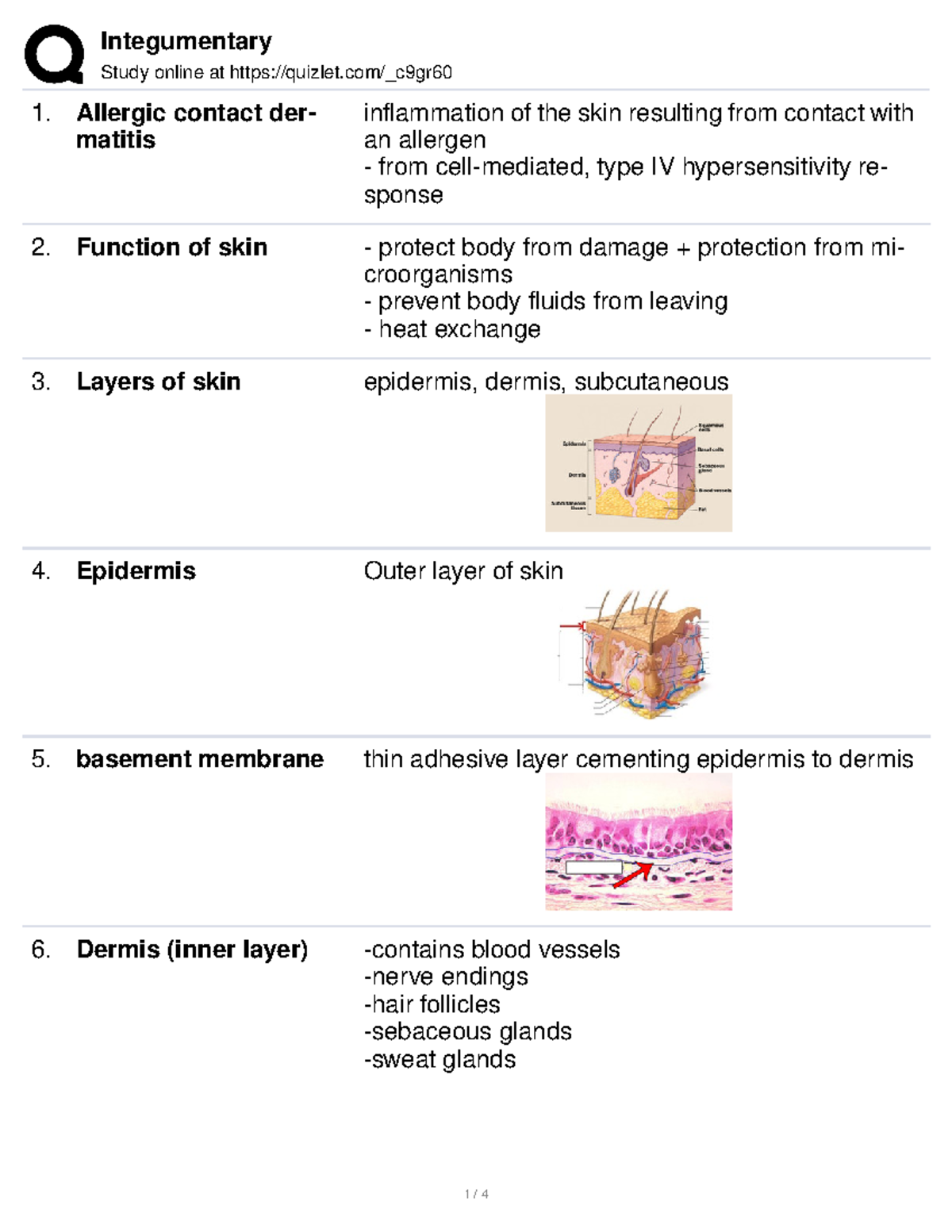 Integumentary Flash Cards - Study online at quizlet/_c9gr Allergic ...