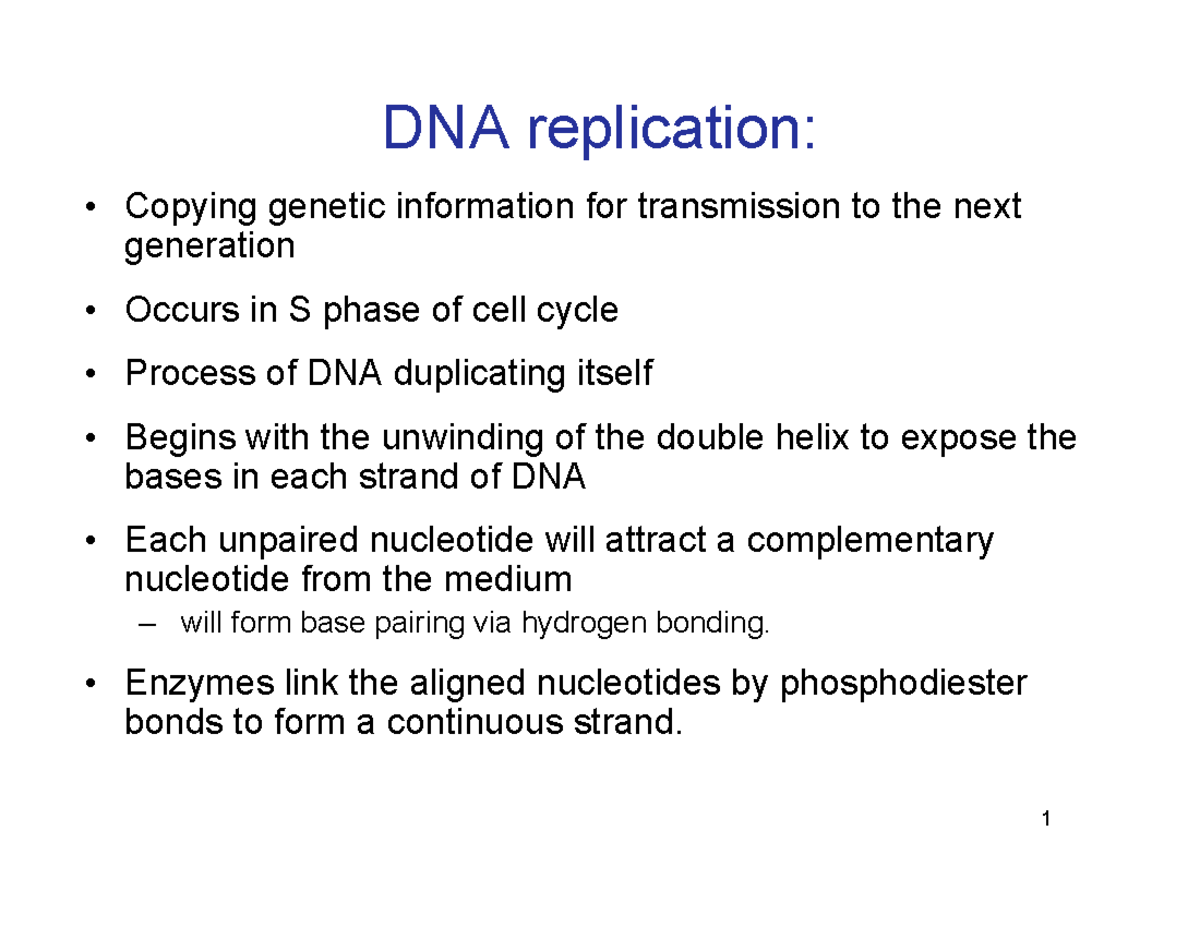 DNA replication - DNA replication: • Copying genetic information for transmission to the next ...