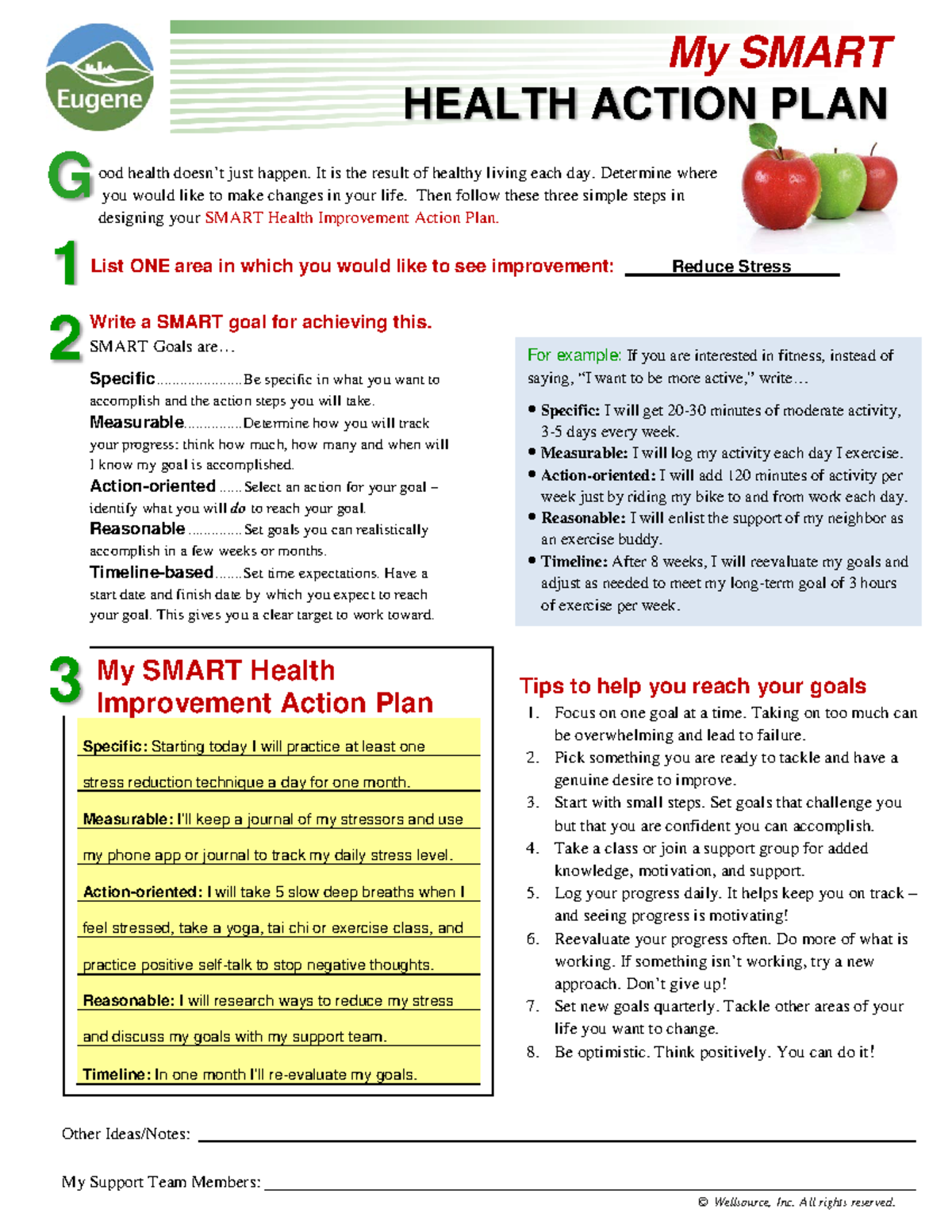 Smart Action Plan - Reduce Stress 2013 07261151363351 - © Wellsource ...