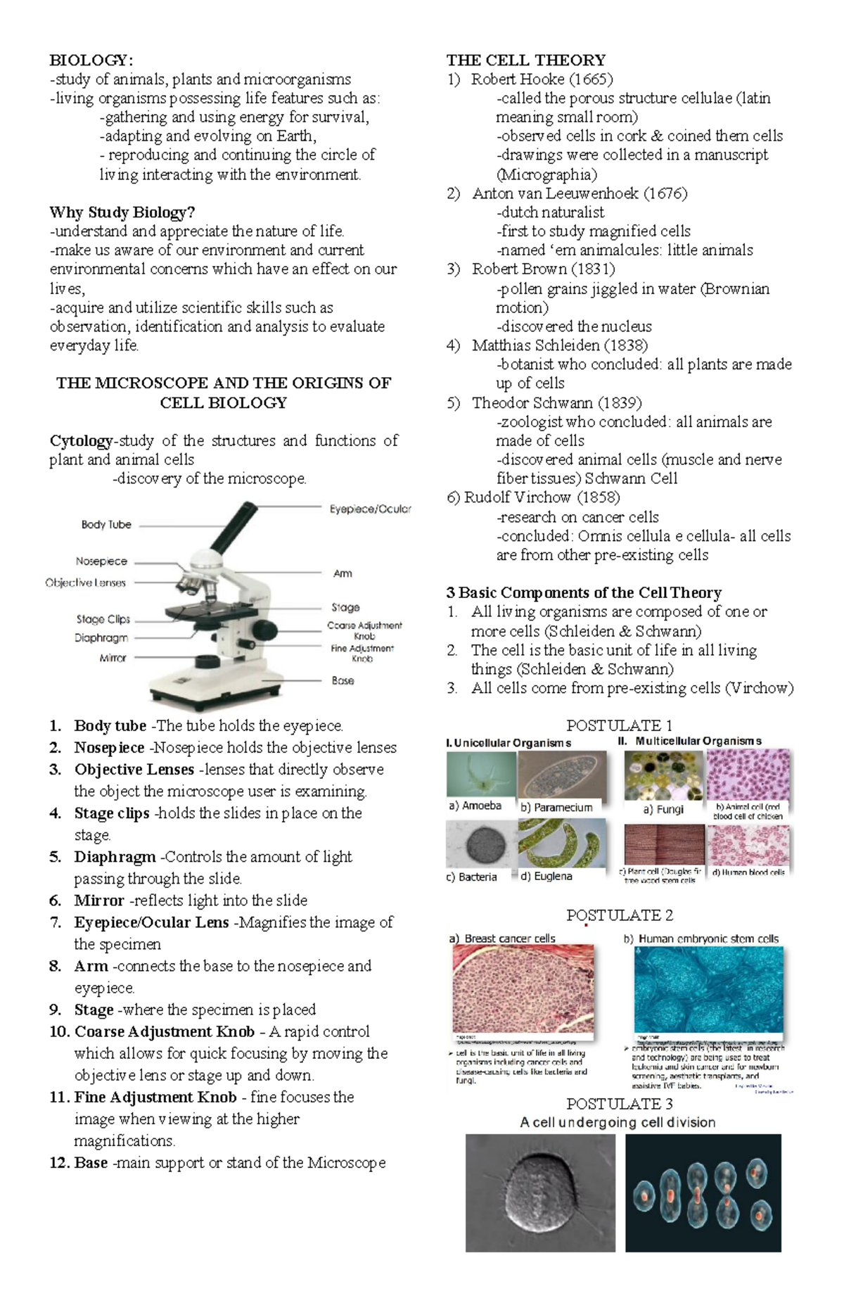 Biology- General Cell Reviewer - BIOLOGY: -study of animals, plants and ...
