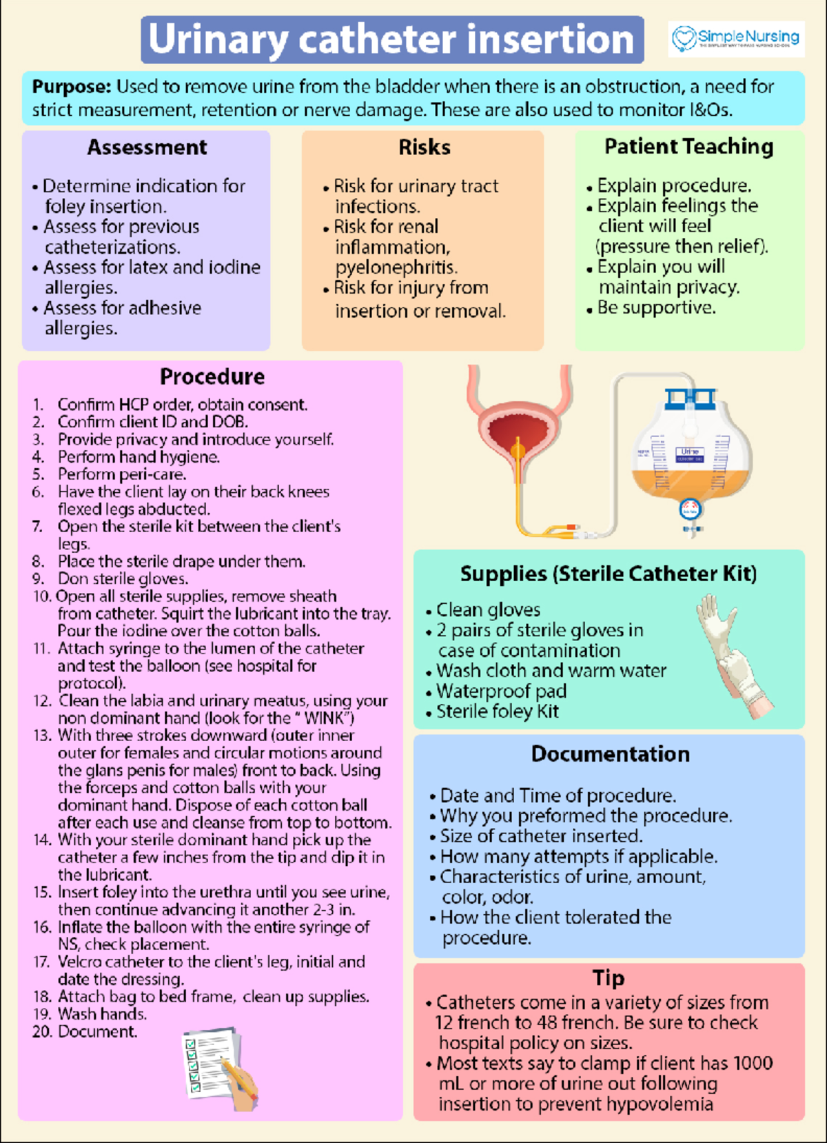 Urinary Catheter Insertion - These are also used to monitor Assessment ...