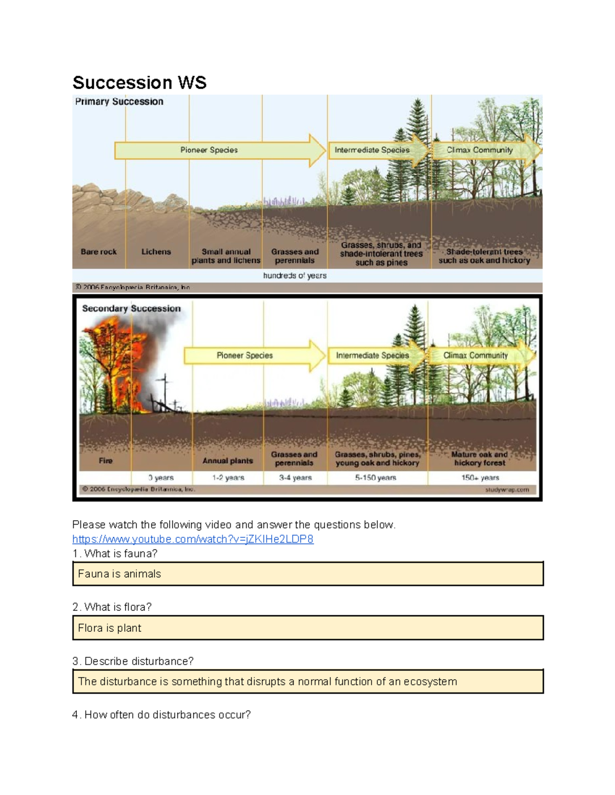 Succession WS - A very easy assignment - Succession WS Please watch the ...