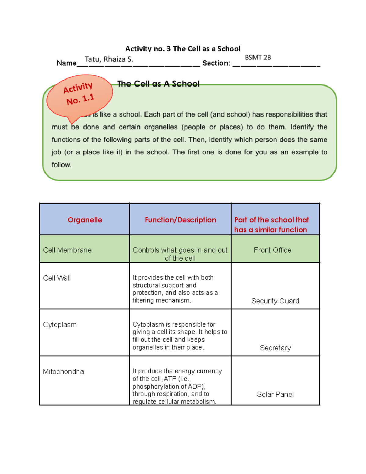 The cell as a school - Activity no. 3 The Cell as a School Name