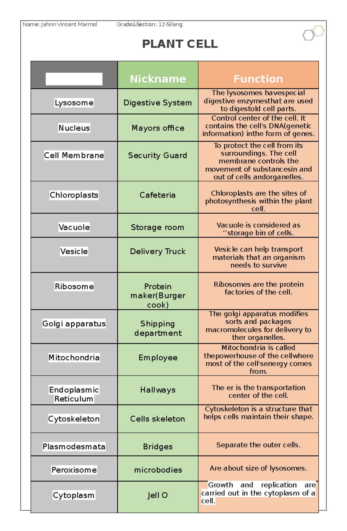 Plant Cell Anatomy Jahnn - Name: Jahnn Vincent Marmol Grade&Section: 12 ...