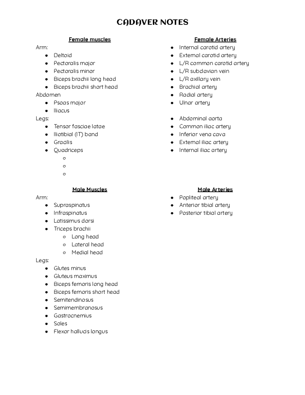 Cadaver notes unit 3 test - CADAVER NOTES Female muscles Arm: Deltoid ...