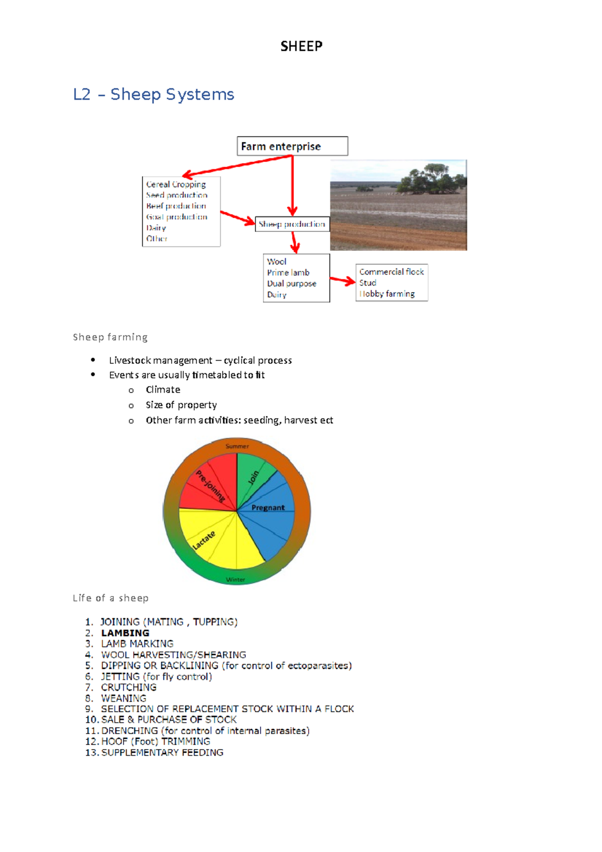 Sheep notes - Not complete - L2 – Sheep Systems Sheep farming Livestock ...