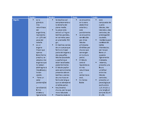 Reflejos patológicos - Reflejos patológicos De la cabeza: Reflejo de ...