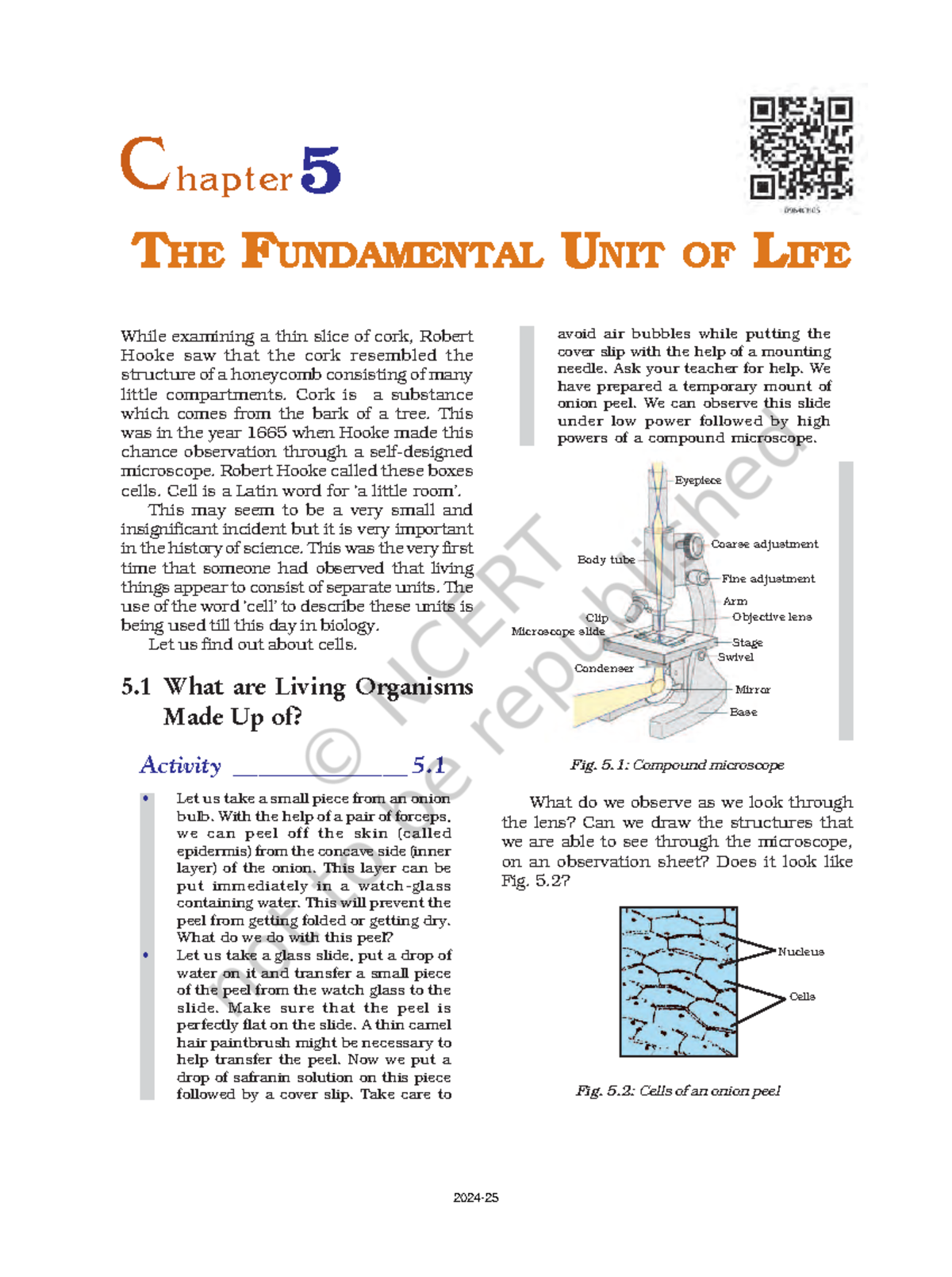Cell Class 9 - no description - While examining a thin slice of cork ...