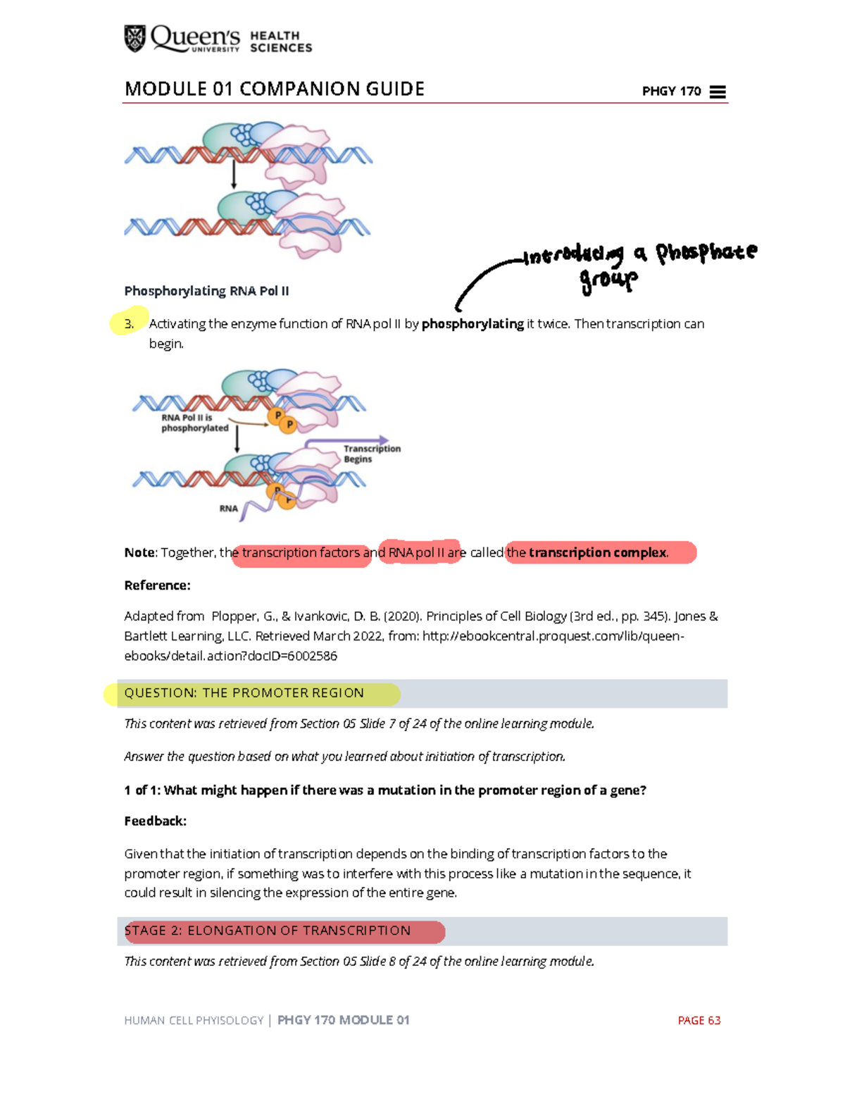 PHGY 170 - Module 1 - Annotated note - MODULE 01 COMPANION GUIDE PHGY ...