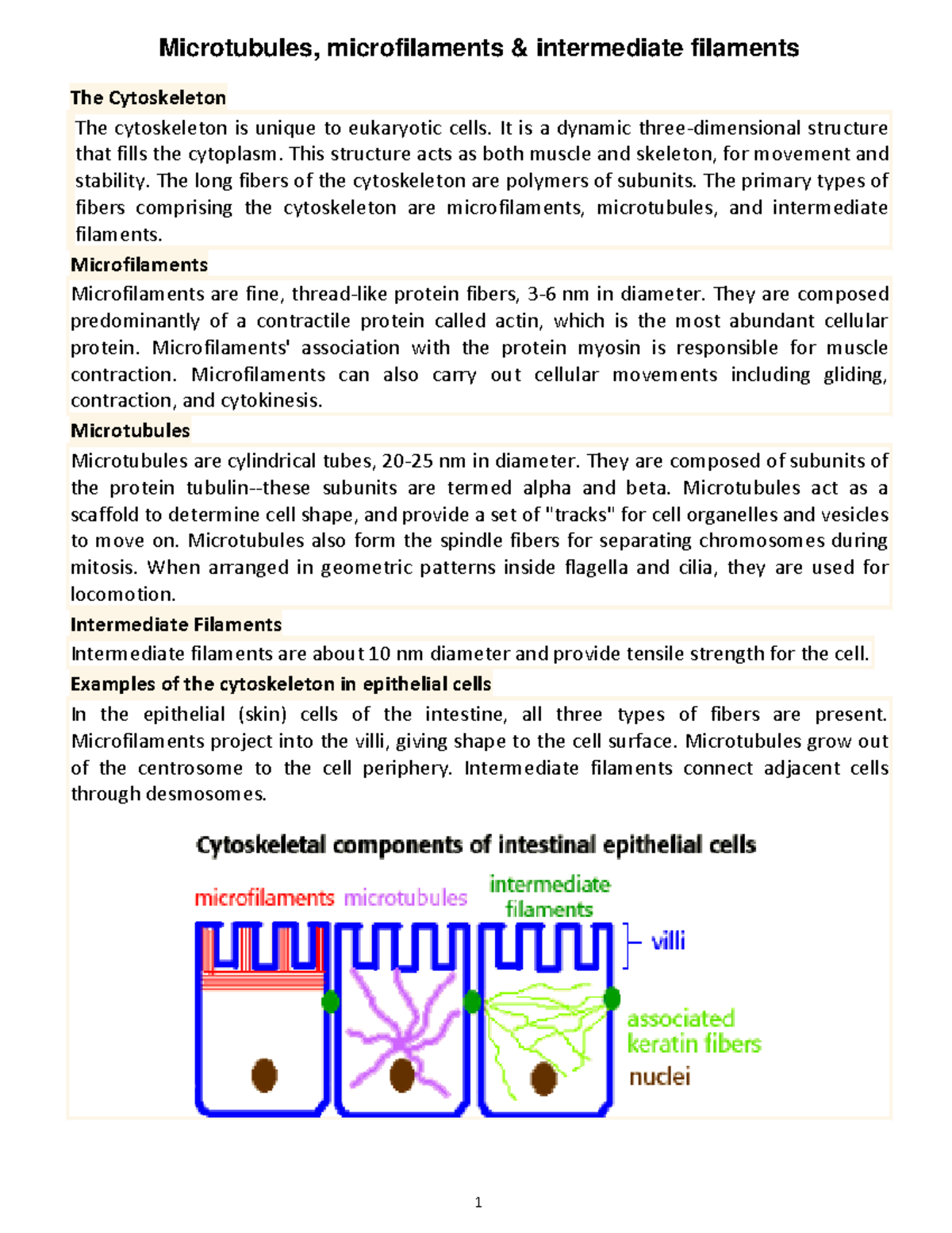 Micro tubules and filaments - Microtubules, microfilaments ...