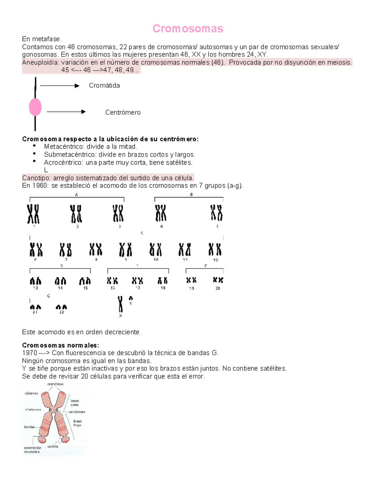 Cromosomas - De ayuda - Cromosomas En metafase. Contamos con 46 ...