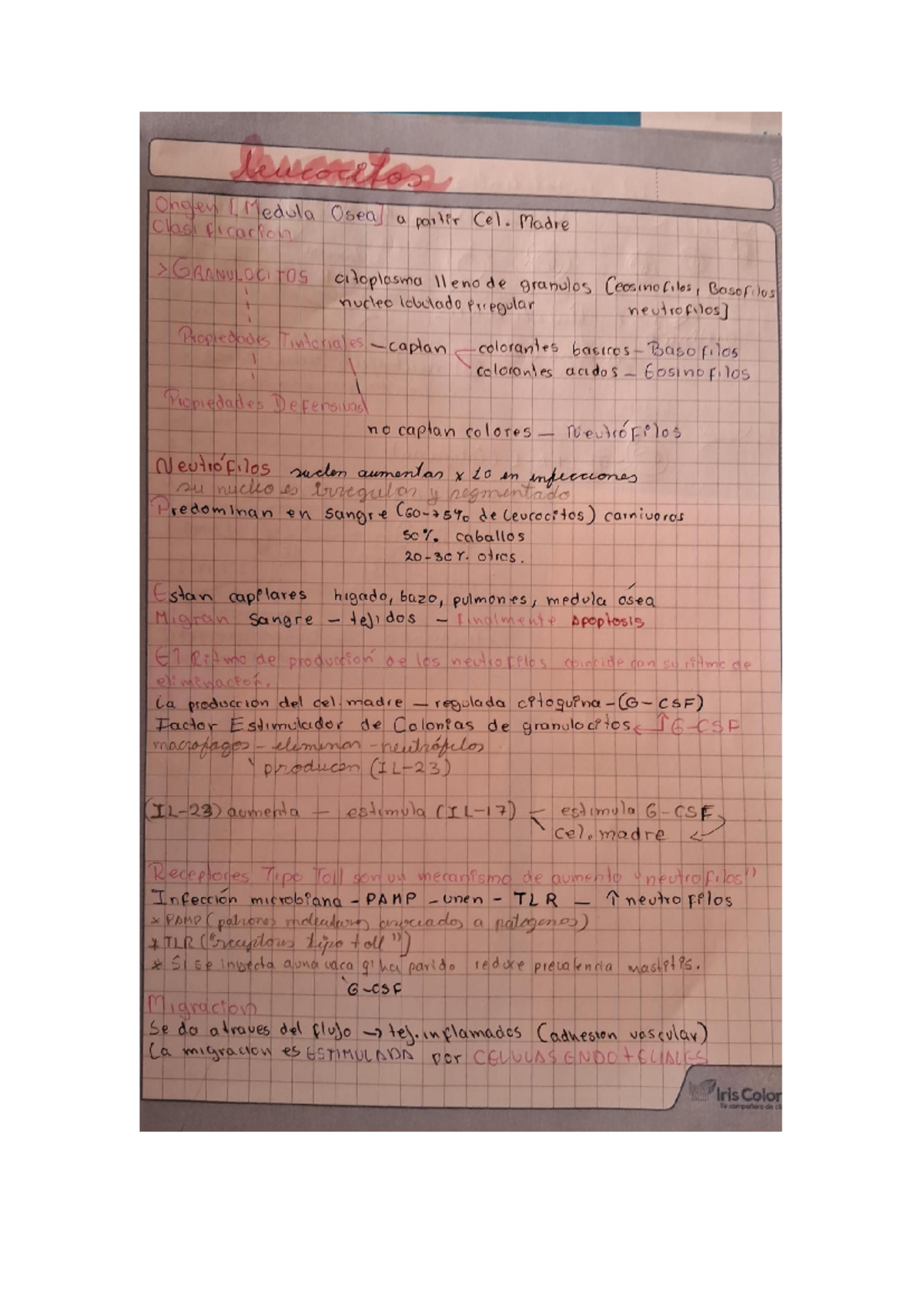 Resumen de capitulo 5 del libro de Inmunología de Ian Tizard 10ma ...