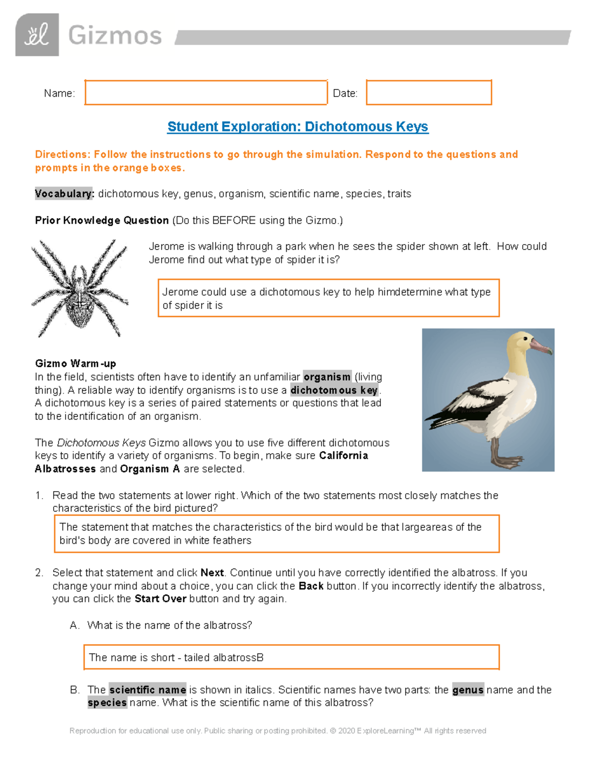 Dichotomous Keys SE - Name: Date: Student Exploration: Dichotomous Keys ...