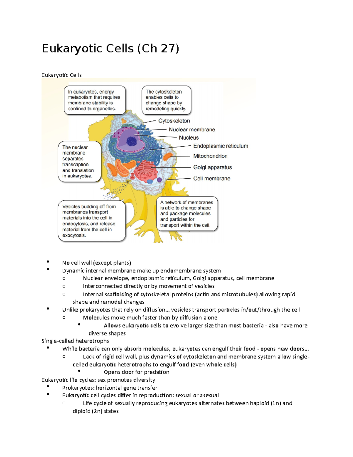 Eukaryotic Cells - Studocu