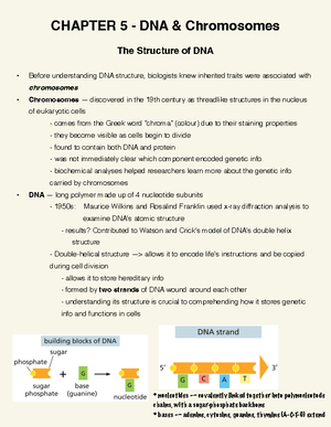 Unit 5 - Protein Structure & Function - Chapter 4: Protein Structure & Function The Shape ...
