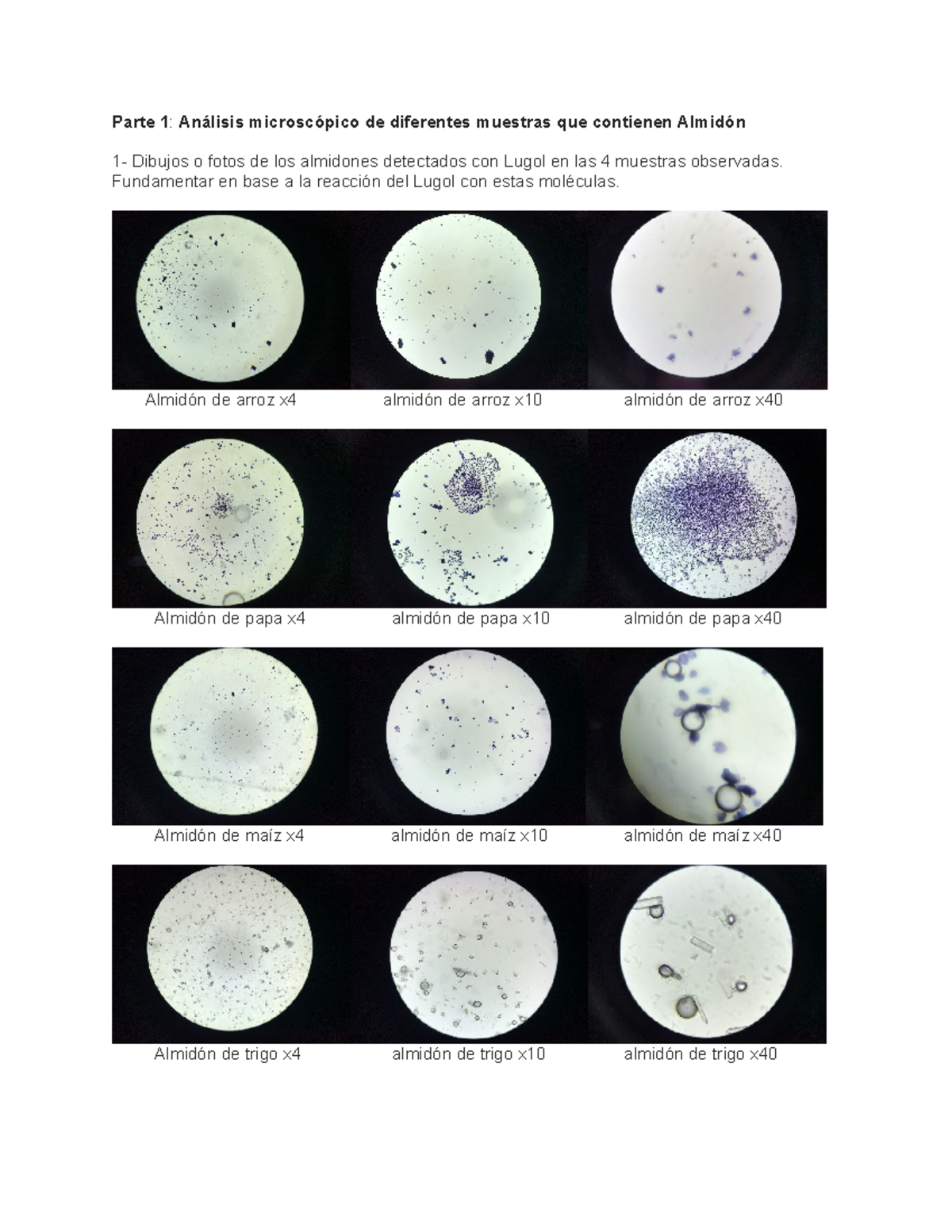 Farmacognosia lab 1 - asdasdas - Parte 1: Análisis microscópico de ...