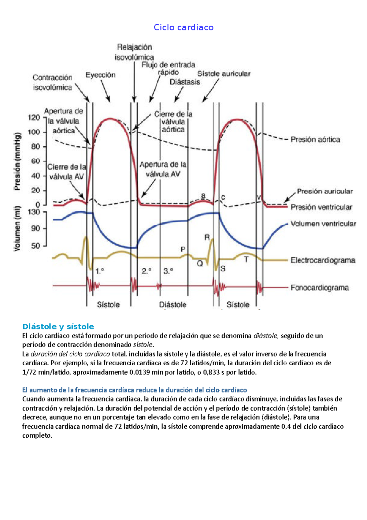 2-Ciclo cardiaco, precarga y poscarga, electrocardiograma - Ciclo ...