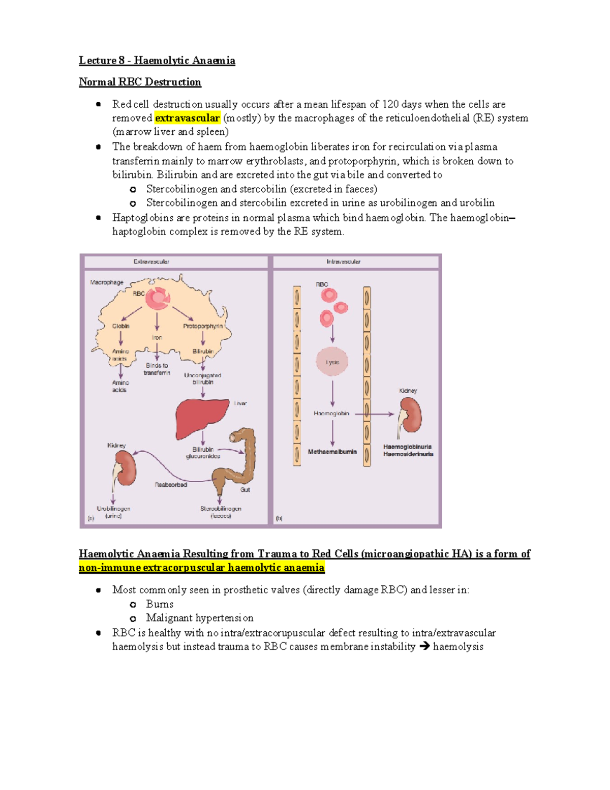 Hemolytic Anemia - Lecture 8 - Haemolytic Anaemia Normal RBC ...
