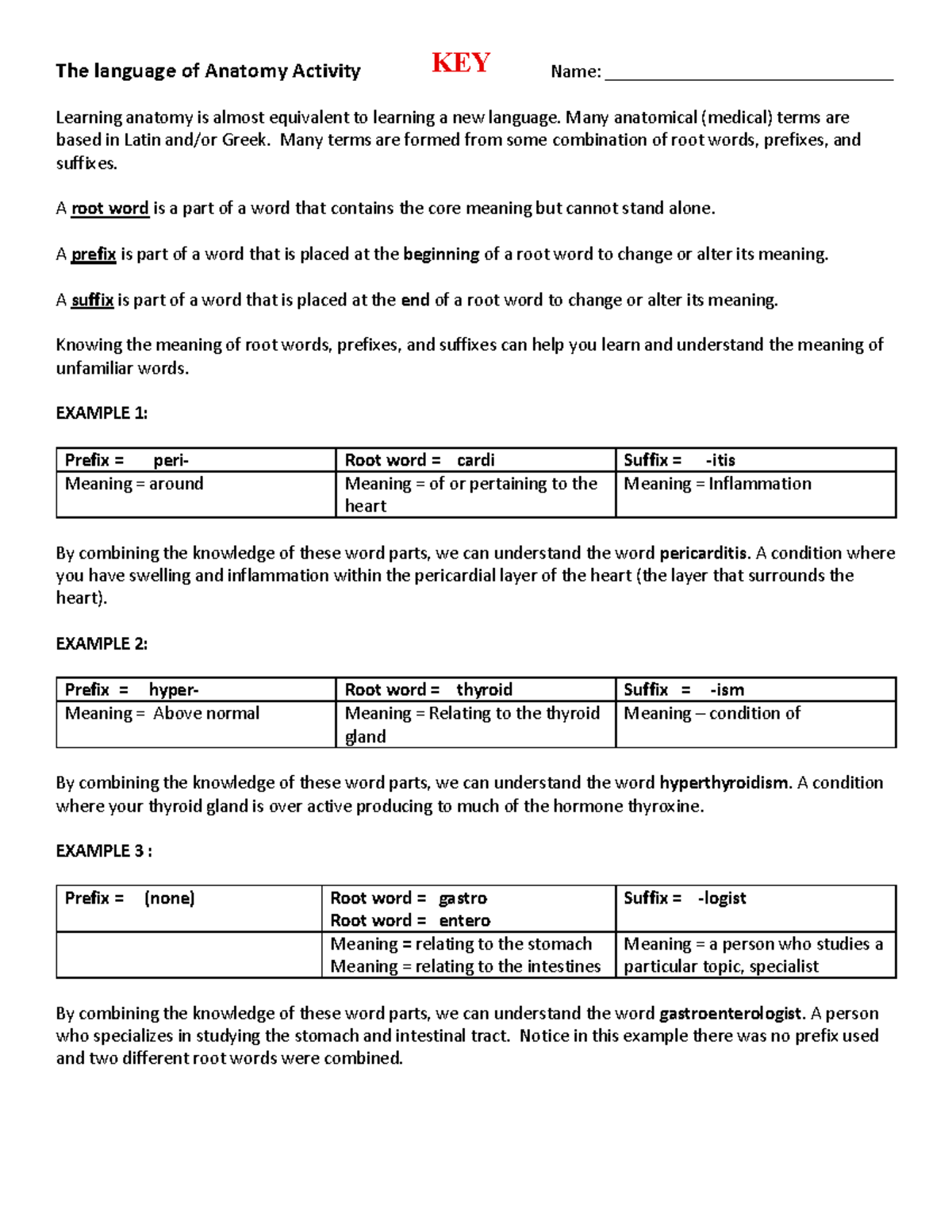 The Language Of Anatomy Activity Chart KEY The Language Of Anatomy the-language-of-anatomy-activity-chart-key-the-language-of-anatomy