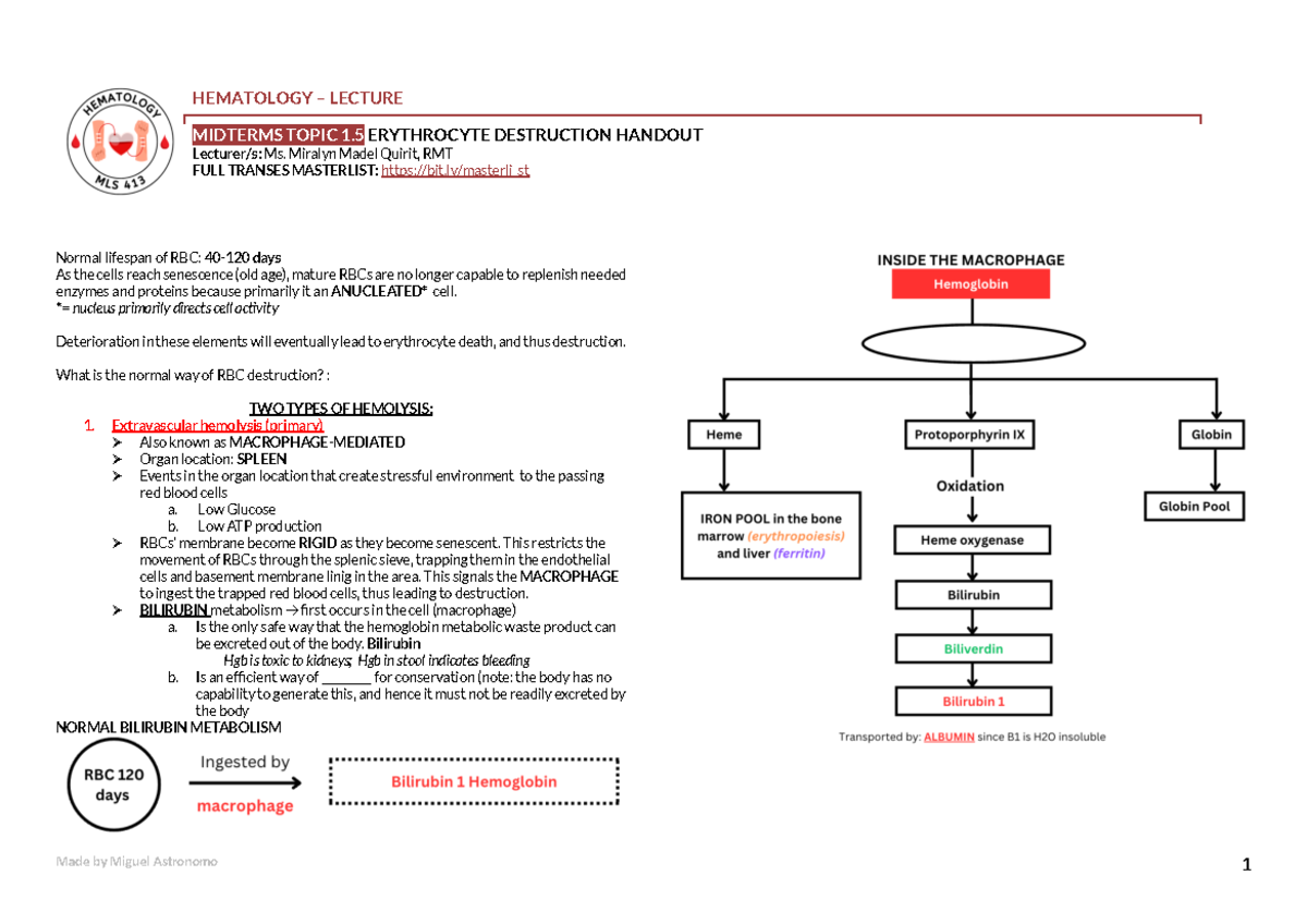 [HEMA-LEC] M1.5-RBC Destruction Handout - HEMATOLOGY – LECTURE MIDTERMS ...