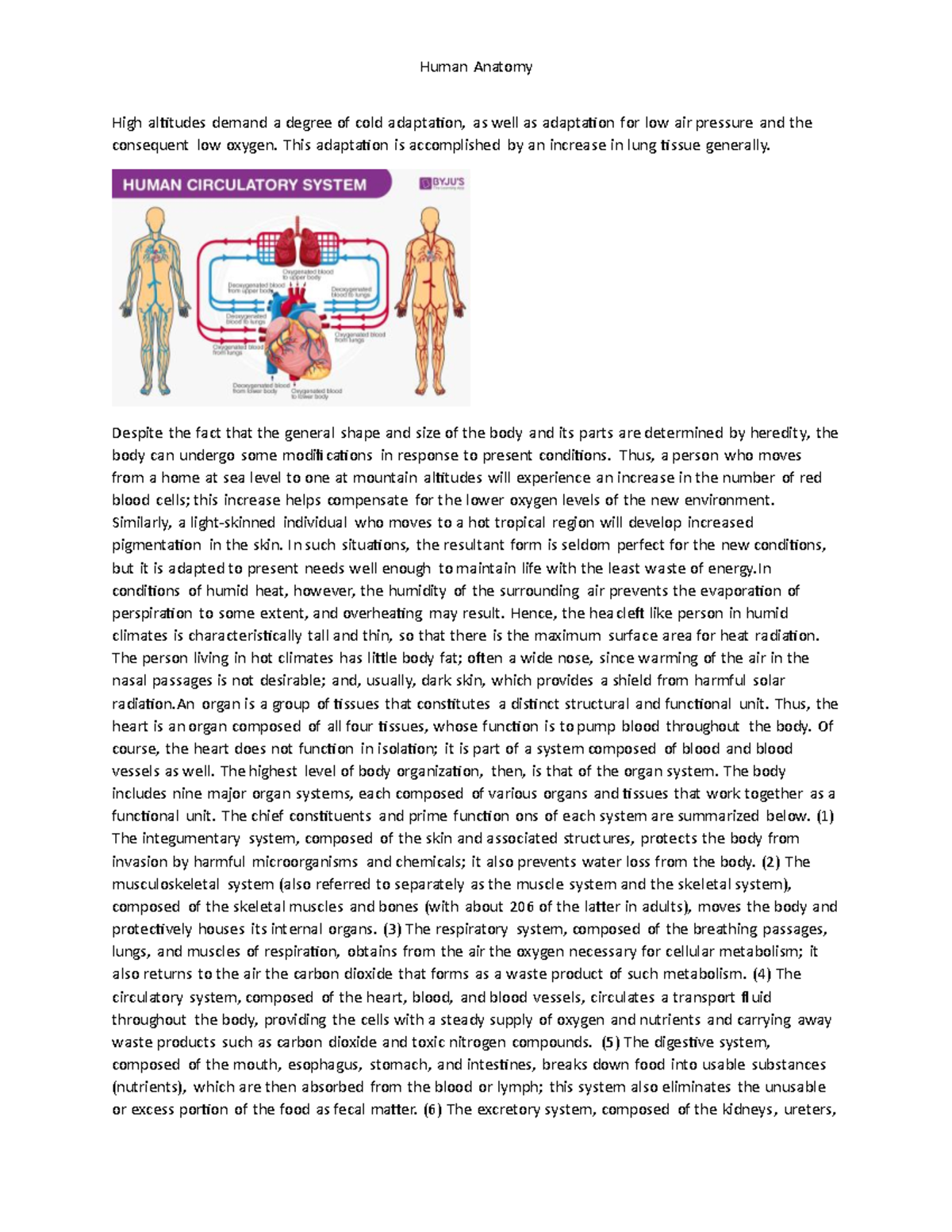 N - course work - Human Anatomy High altitudes demand a degree of cold ...