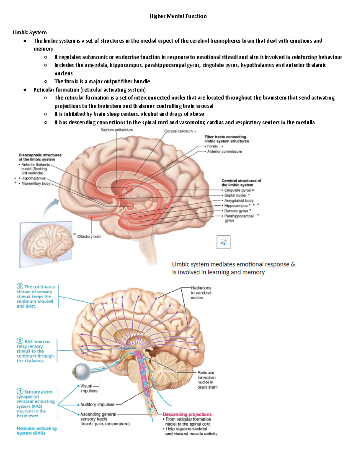 9. Higher mental function - Higher Mental Function Limbic System The limbic system is a set of ...