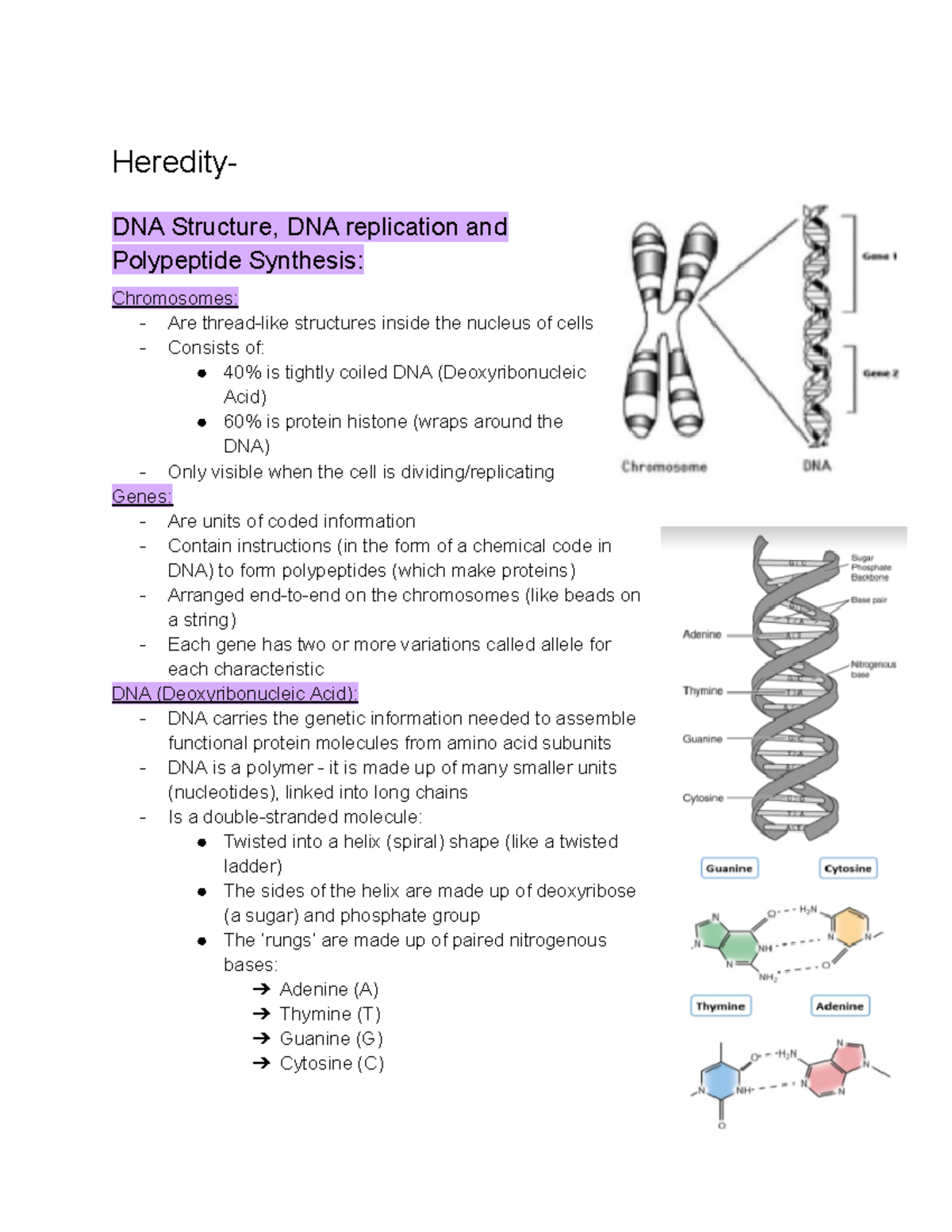 Biology - Heredity- DNA Structure, DNA replication and Polypeptide ...