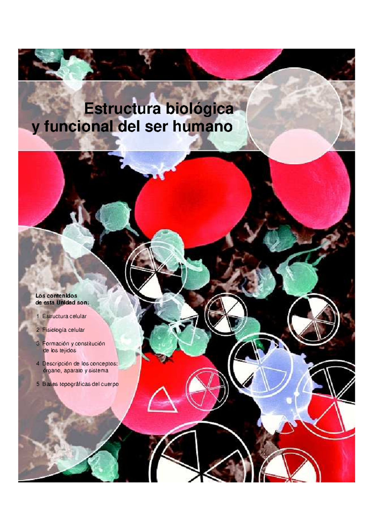 Estructura biologica y funcional del ser humano estructura y ...