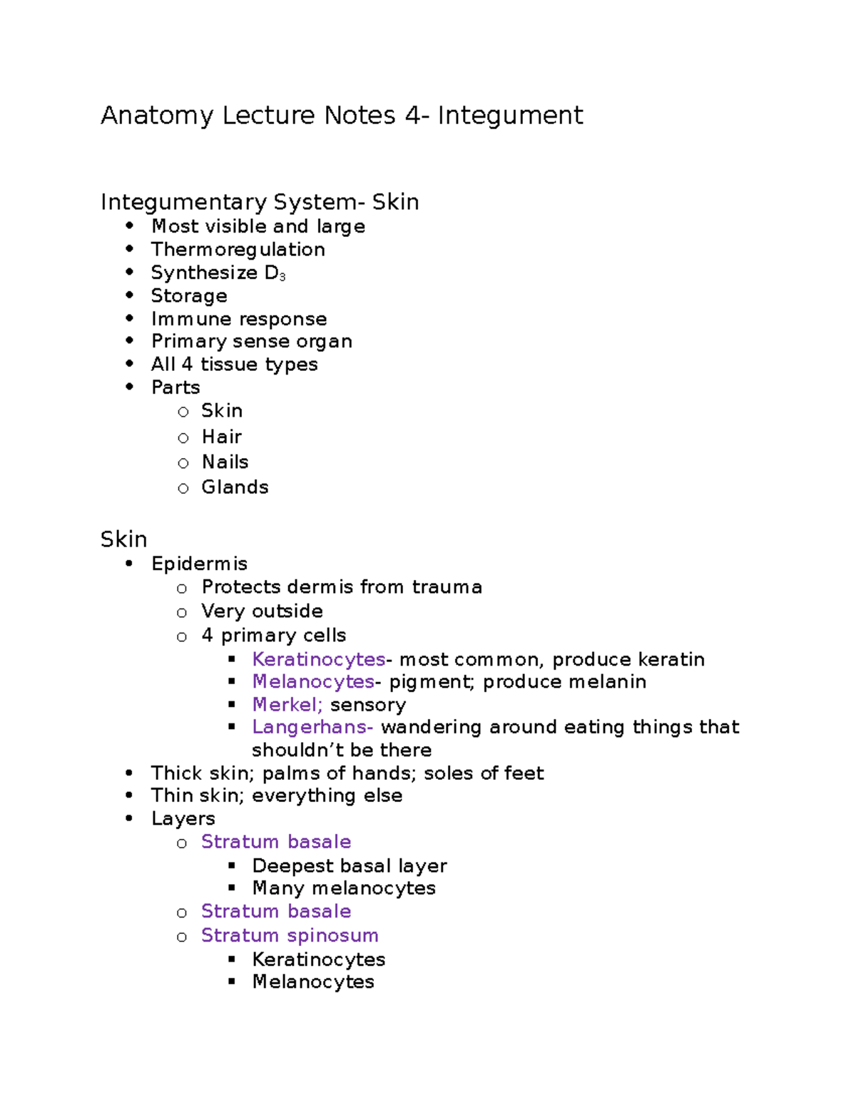Human Anatomy Chapter 4 Notes - Anatomy Lecture Notes 4- Integument ...