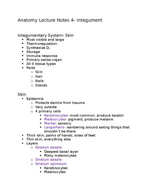 Lab exam 4 - study guide - Lab Exam Lab 7 Kidney and Nephron models ...