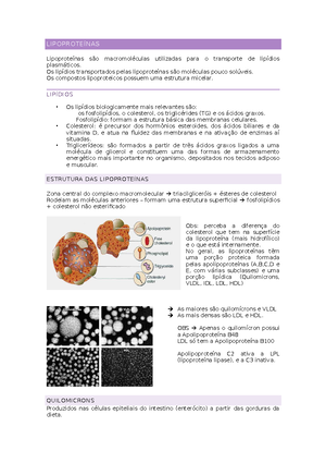 Lipólise e beta oxidação - Lipólise e B-oxidação dos ácidos graxos ...
