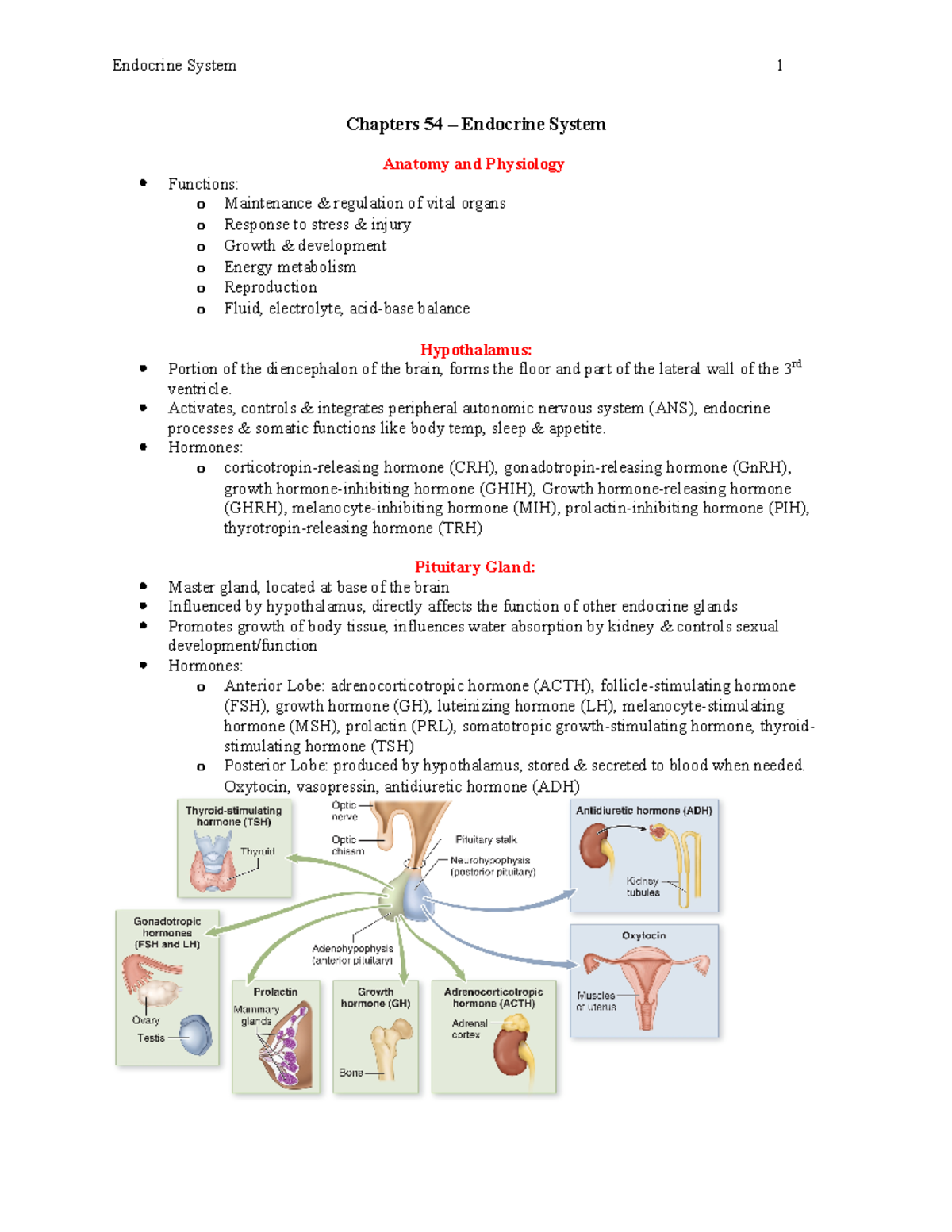 LUSL4084 Endocrine Readings - Saunders Comprehensive Review for the ...