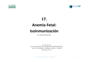 Acog practice bulletin no 75 management of alloimmunization 2006 - VOL ...