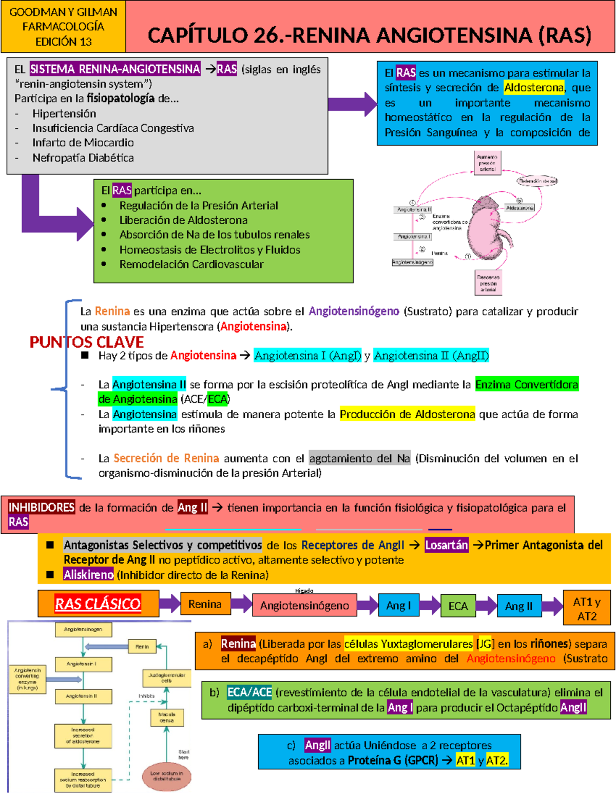 Sistema Renina Angiotensina farma - GOODMAN Y GILMAN FARMACOLOGÍA ...