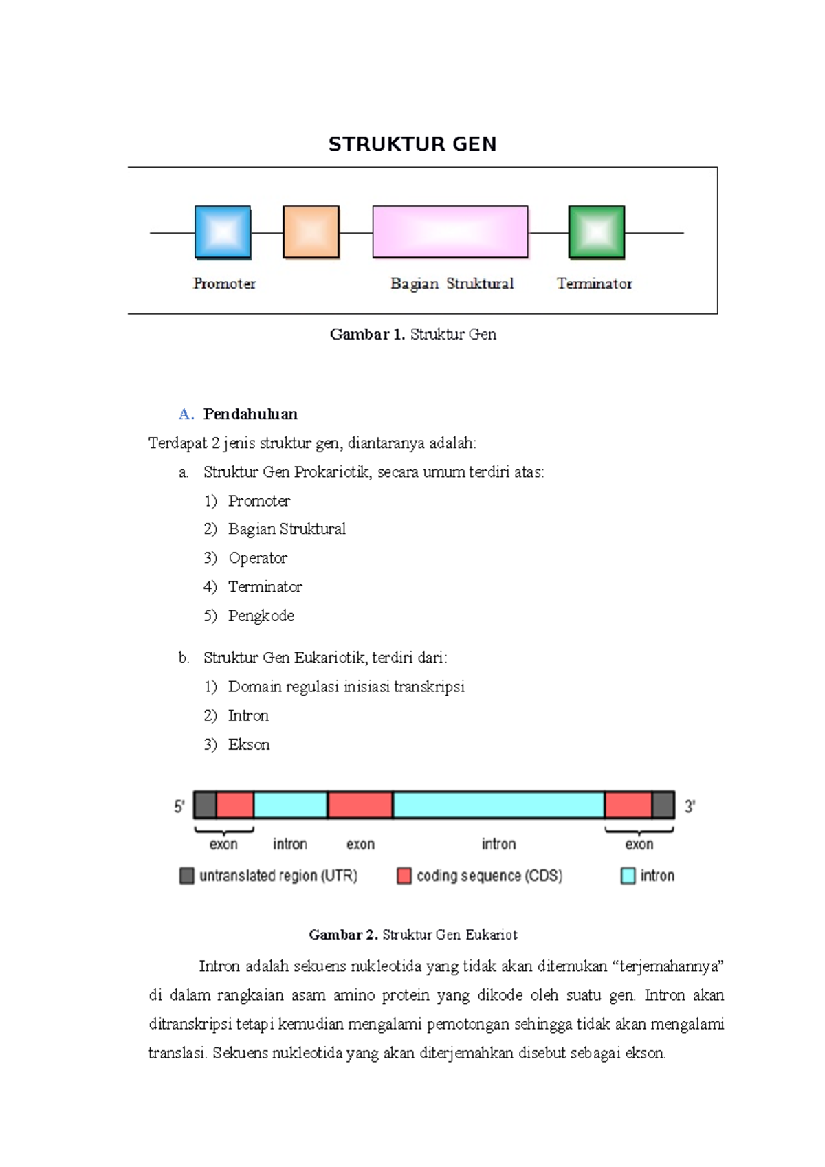 Struktur Genetik - STRUKTUR GEN Gambar 1. Struktur Gen A. Pendahuluan ...