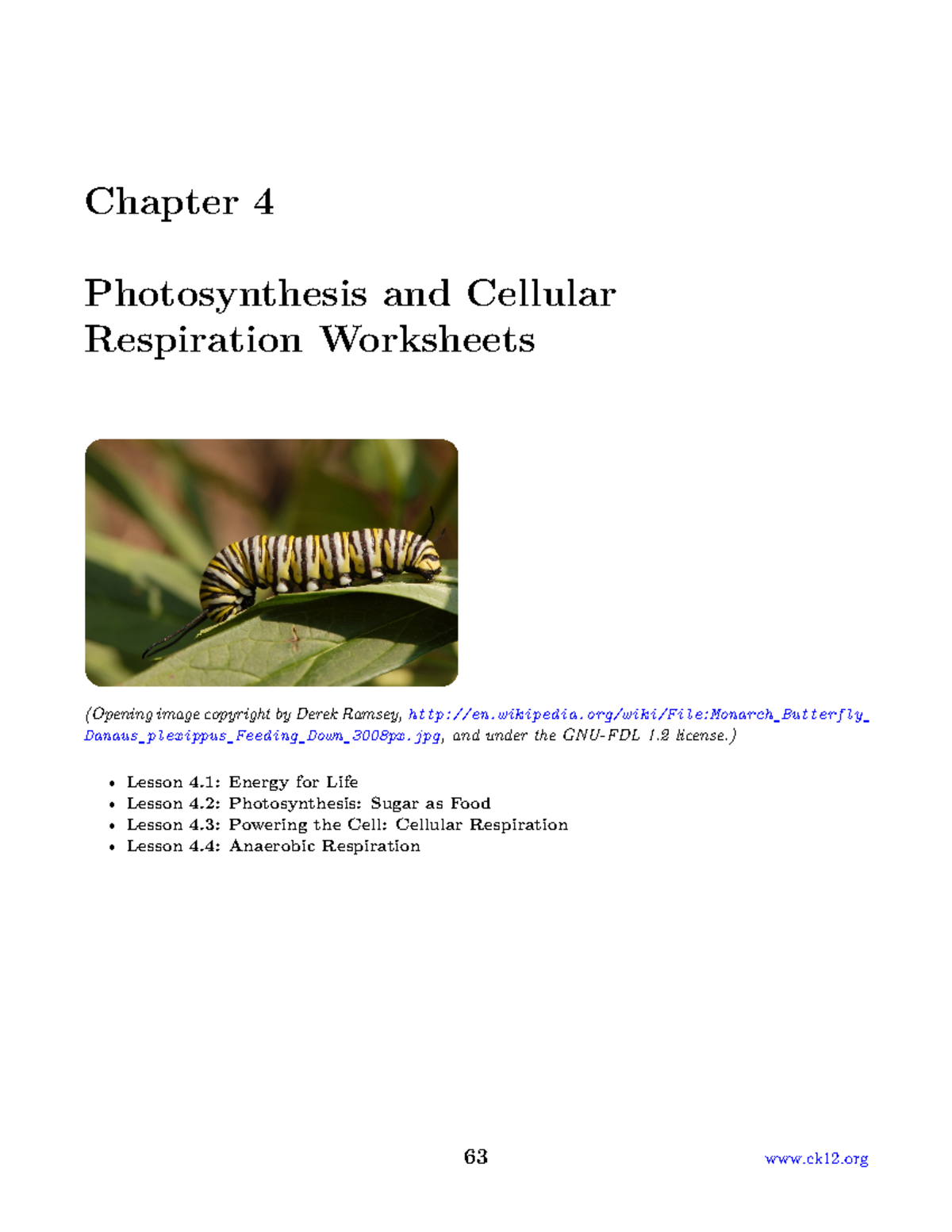 Biology Chapter 4 Worksheets - Chapter 4 Photosynthesis and Cellular ...
