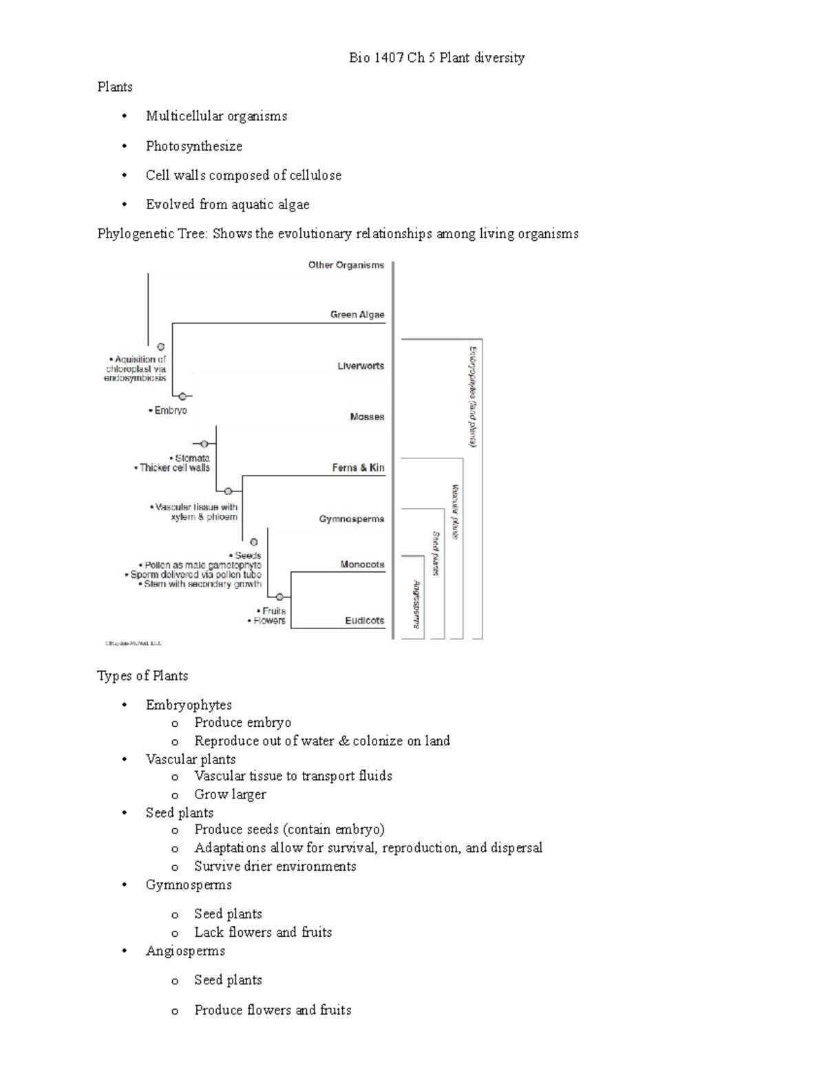 Bio 1407 lab 5 Ch 5 Plant diversity - Bio 1407 Ch 5 Plant diversity ...