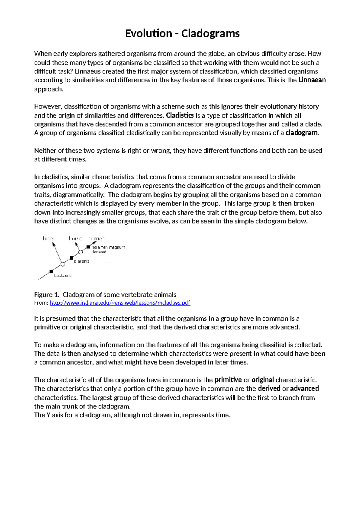 Cladograms updated - notes - Evolution - Cladograms When early ...
