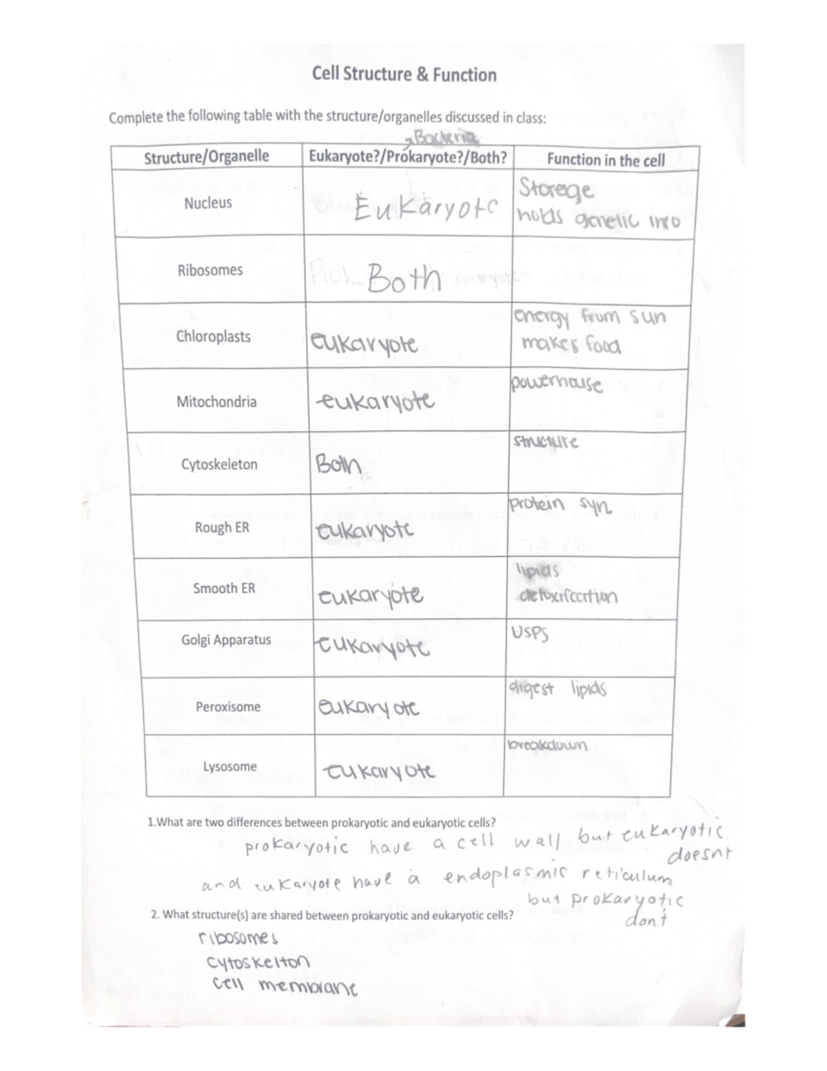 Cell Structure & Function - BIO 1330 - Studocu