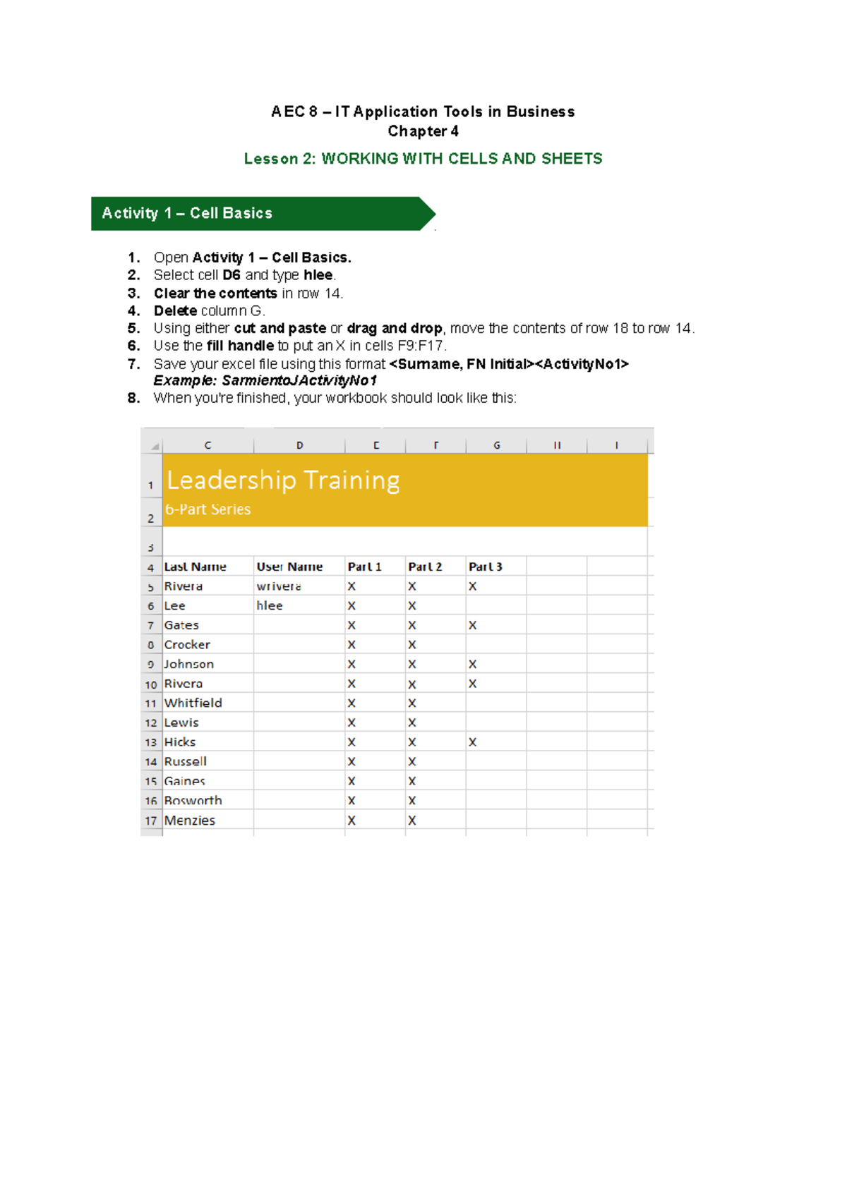 AEC8 Excel-Activities Instructions - AEC 8 – IT Application Tools in ...