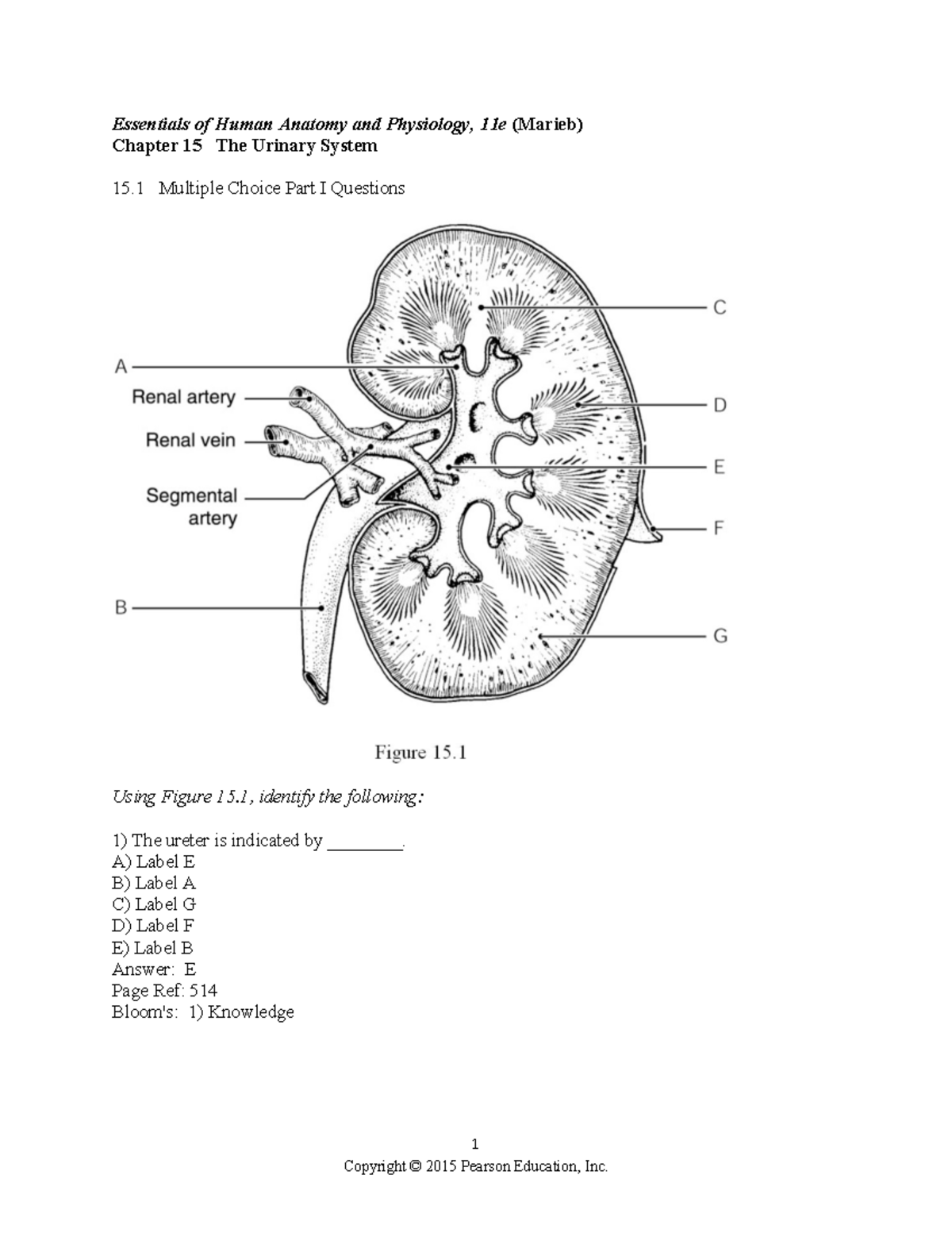 Ch 15 test bank - 1 Essentials of Human Anatomy and Physiology, 11e ...