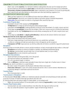 Cell Cycle + Mitosis - Practice Answers - Cell Cycle - Mitosis A key ...