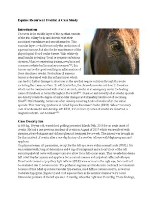 Practical Guide to Claw Amputation from Bovine Surgery - 220 Chapter 7 ...