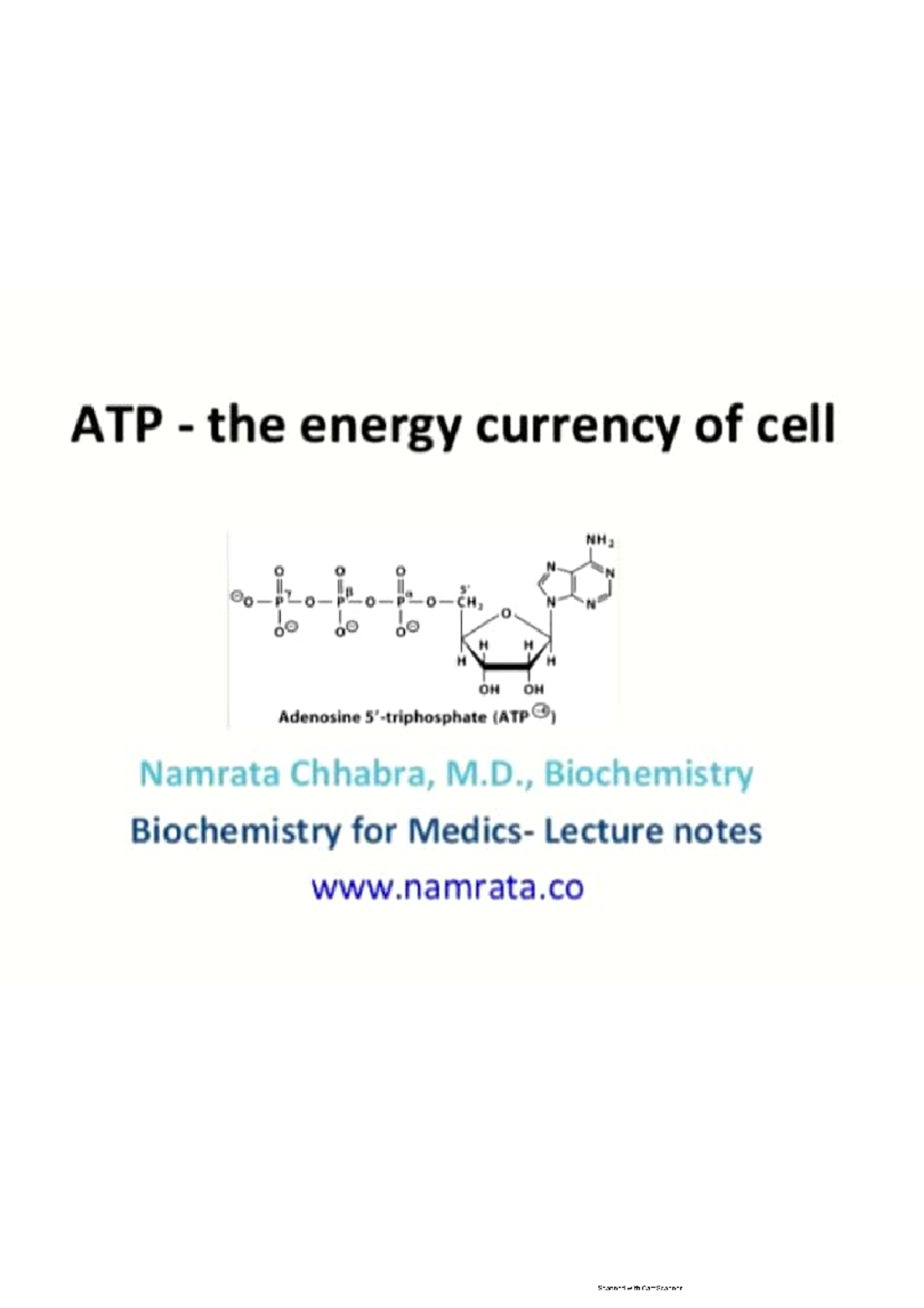 Formation and role of atp from slideshare - Pharmacy - Studocu