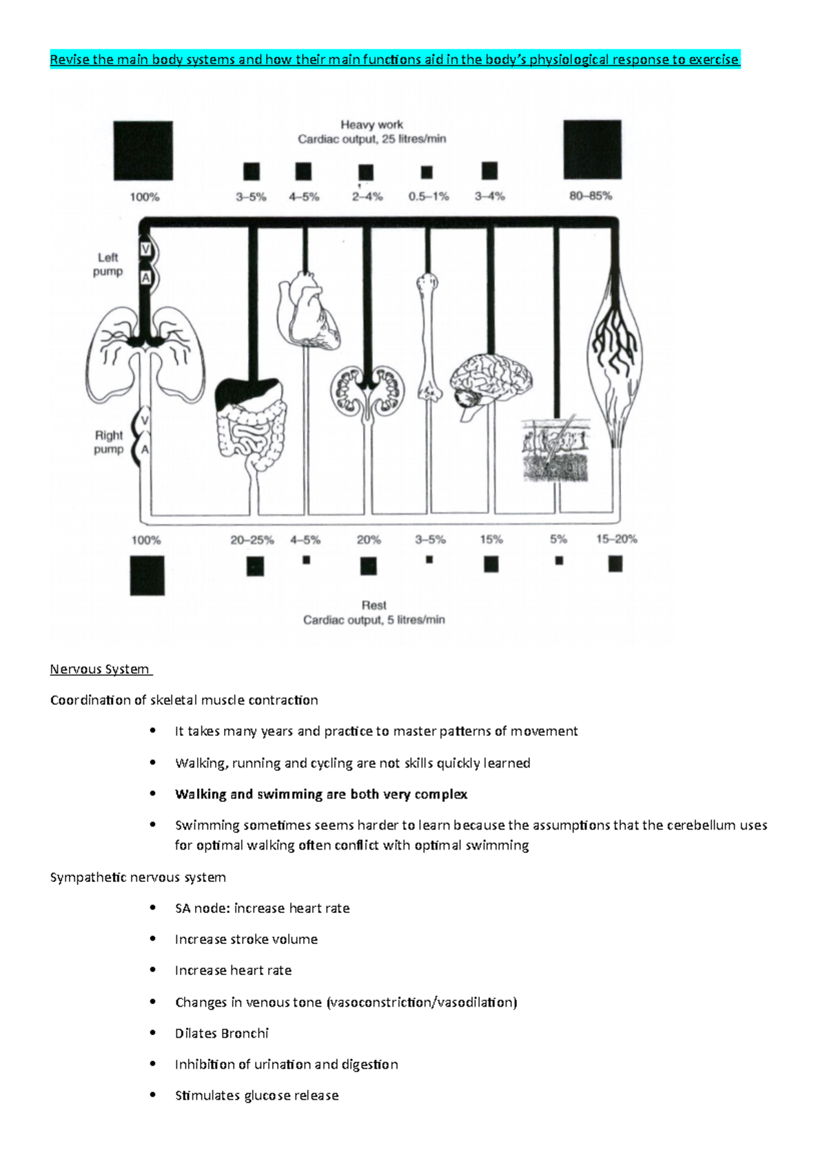 exercise-and-the-body-human-structure-and-function-hlth1000-lecture