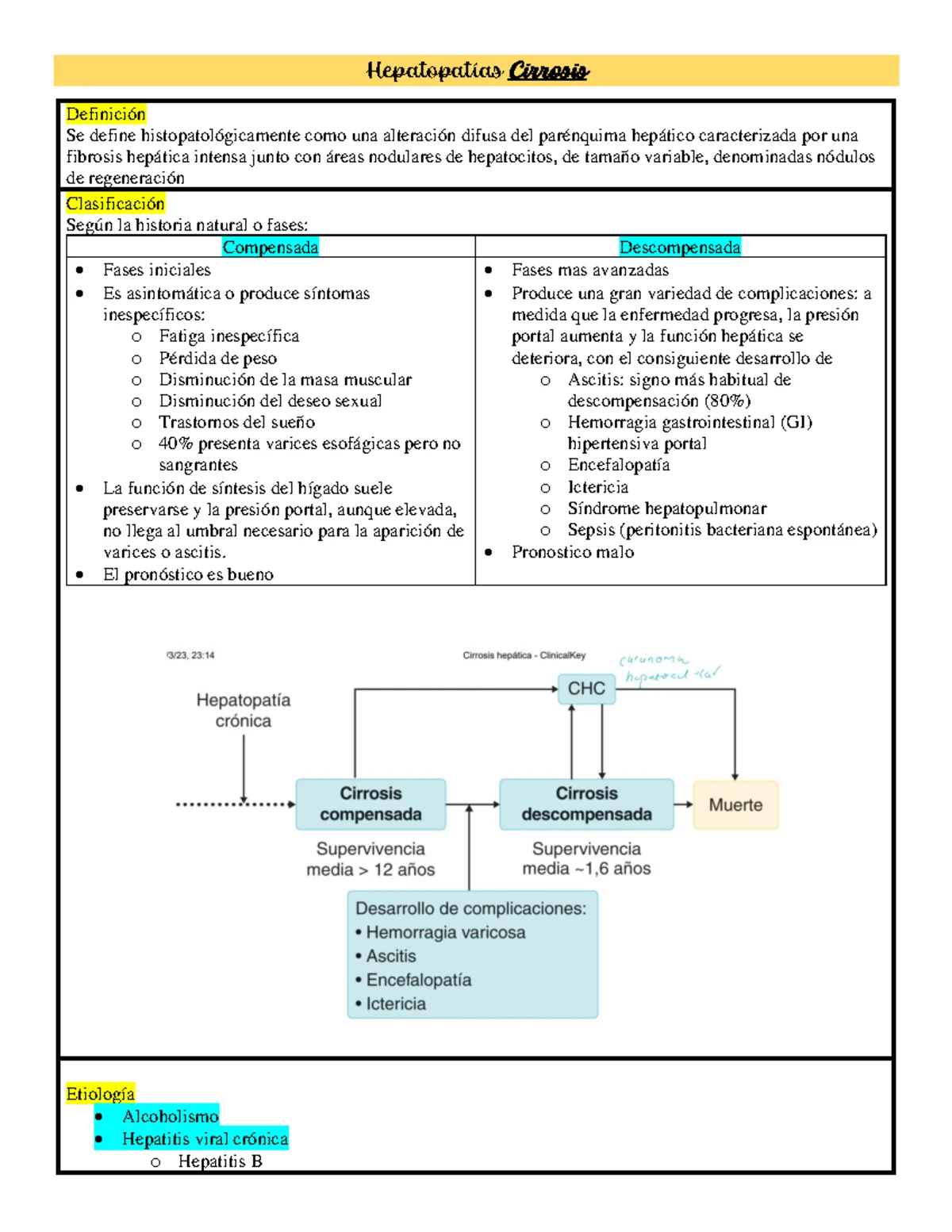 Alza térmica- Fisiopatología- Mateo Jaramillo - Alza térmica El humano ...