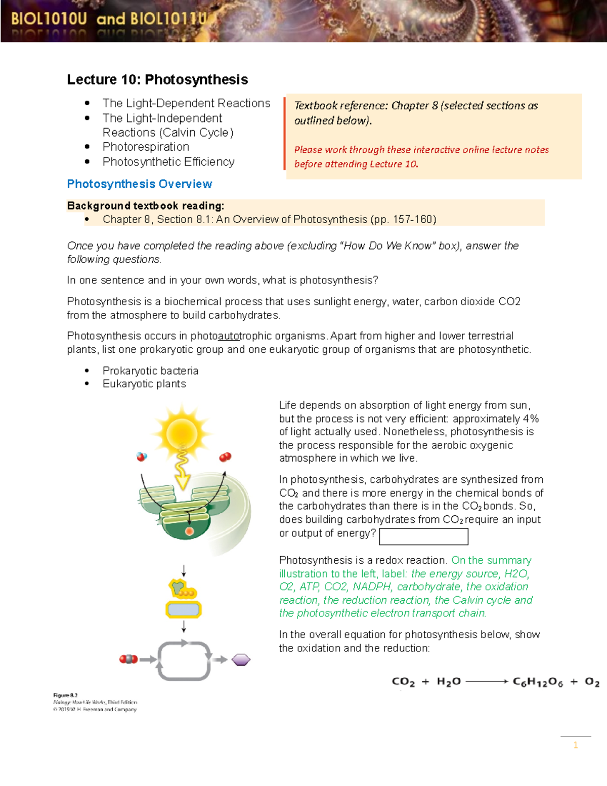 L10 Photosynthesis interactive notes 2022 - Lecture 10: Photosynthesis ...