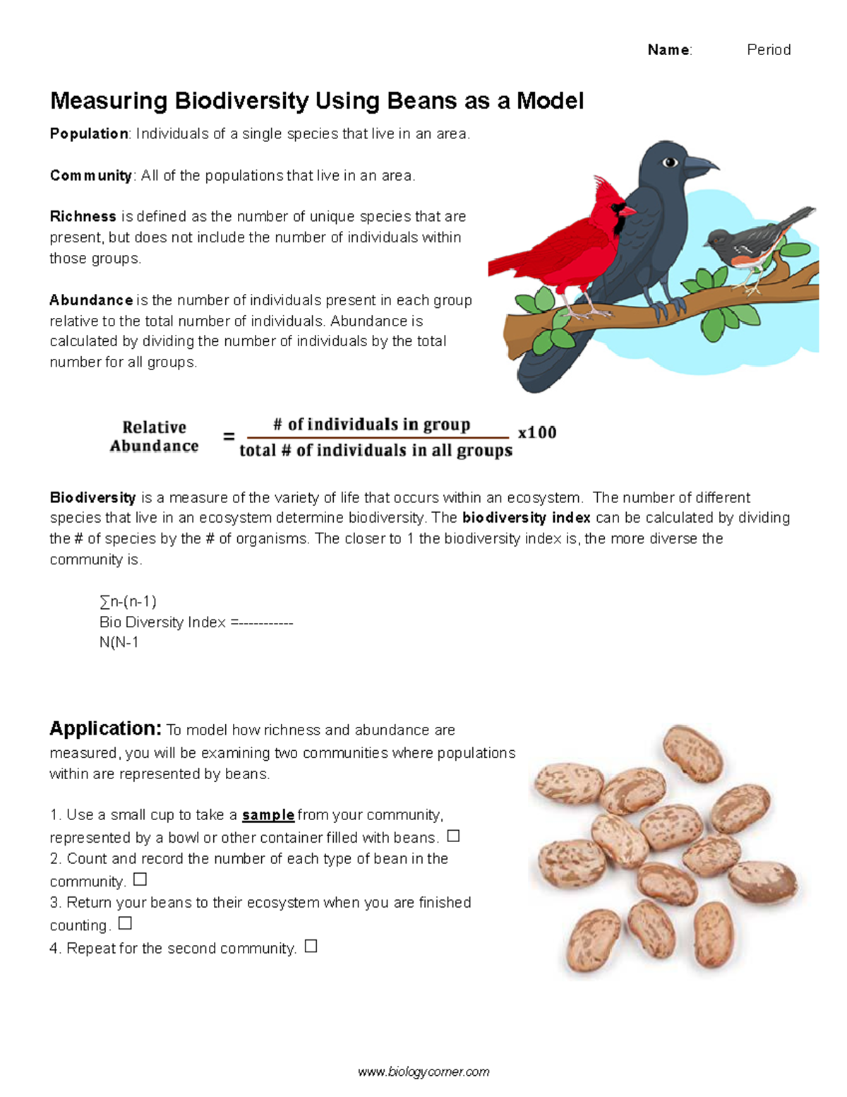 Biodiversity Using Beans as a Model - Name: Period Measuring ...