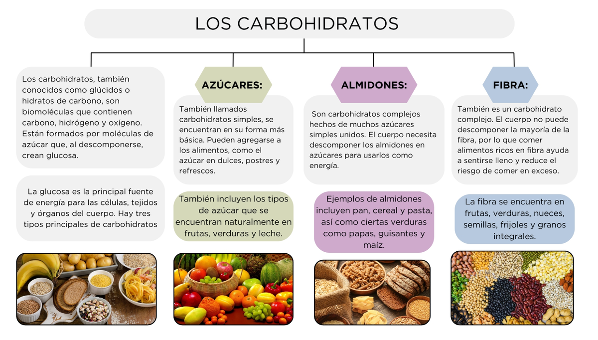 Carbohidratos - carbohidratos simples, se complejo. El cuerpo no puede ...