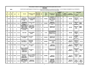 Cartilla Nuevos Estandares Minimos - Nuevos est·ndares mÌnimos en Seguridad y Salud en el ...